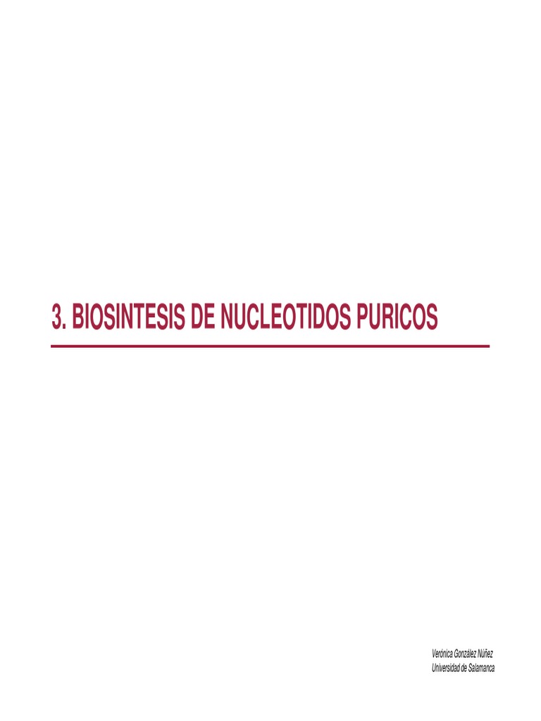 Biosintesis de Nucleotidos Puricos | PDF