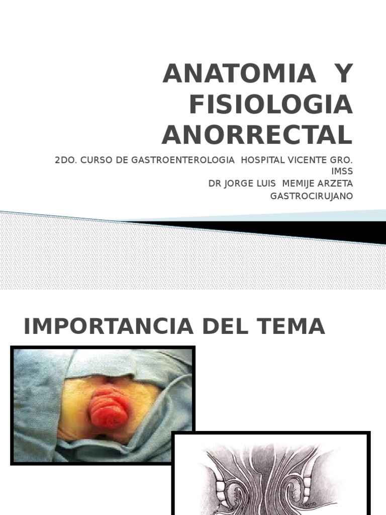 Anatomía Anorrectal y Fisiología | PDF | Recto | Pelvis