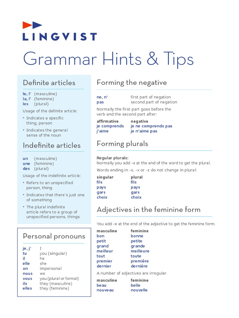 French Grammar For Beginners | PDF | Grammatical Gender | Language ...