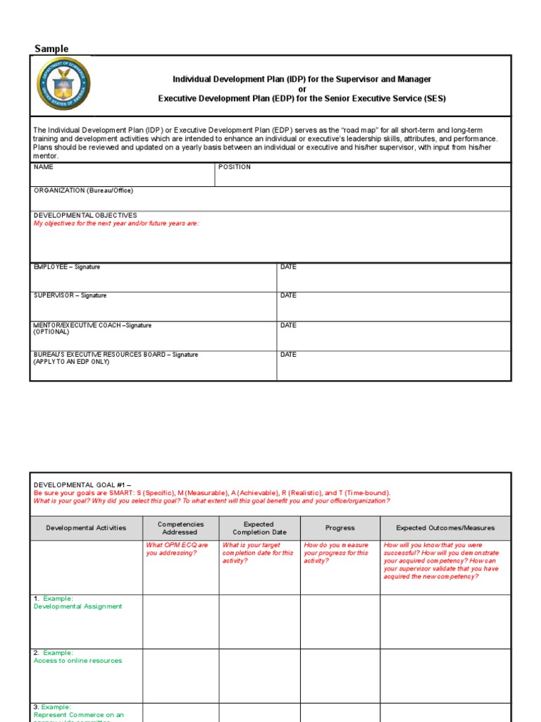 IDP or EDP Sample - 1 | PDF | Career & Growth