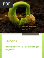 Atlas Anatomia Vegetal PDF | PDF | Hogar, jardinería y bricolaje
