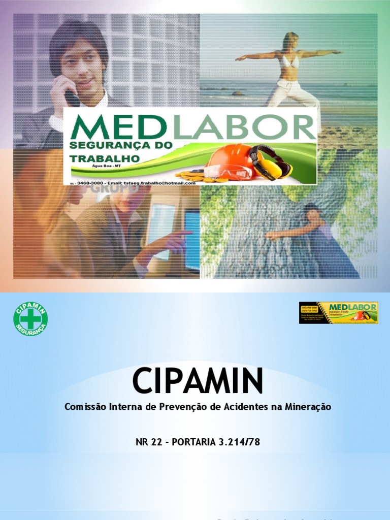 Organização e Atribuições da Comissão Interna de Prevenção de Acidentes ...