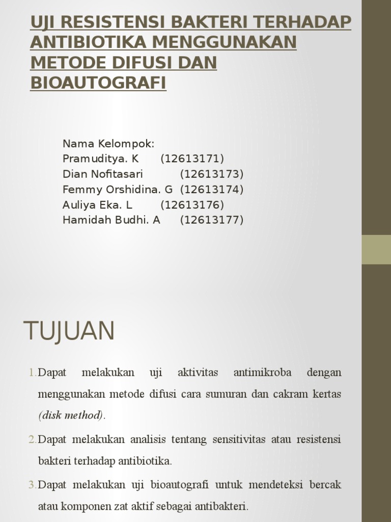 Uji Resistensi Bakteri Terhadap Antibiotika Menggunakan Metode Difusi | PDF