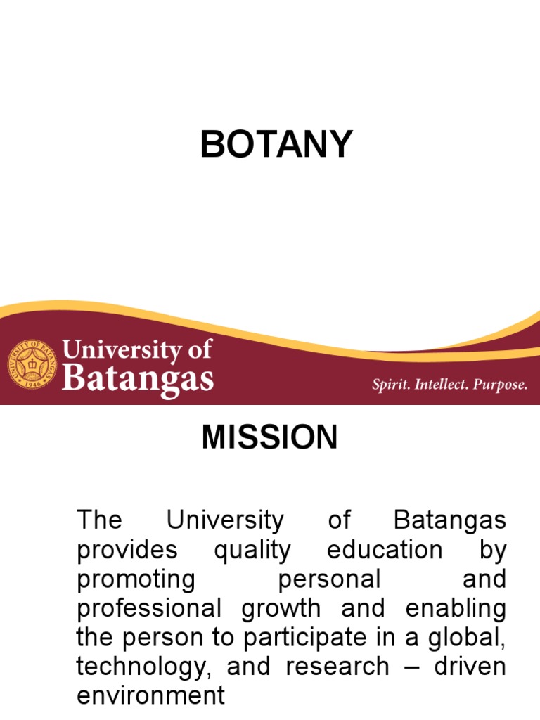 Botany | PDF | Petal | Flowers