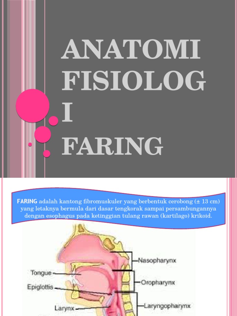 Anatomi dan Fungsi Faring | PDF