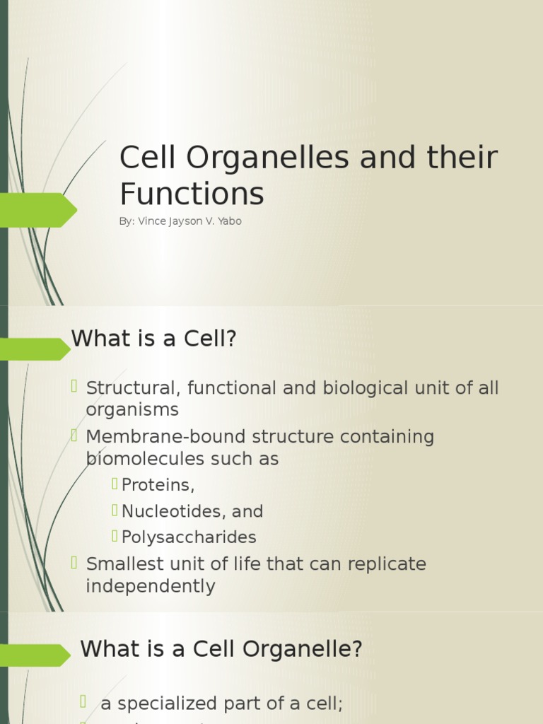 Cell Organelles and Their Functions | PDF | Cell Nucleus | Cell (Biology)
