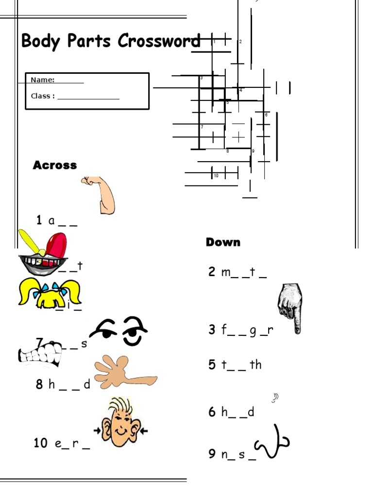 Body Parts Crossword: 1 A - 3 F - T 4 H - I - 7 e - S 8 H - D 2 M - T | PDF