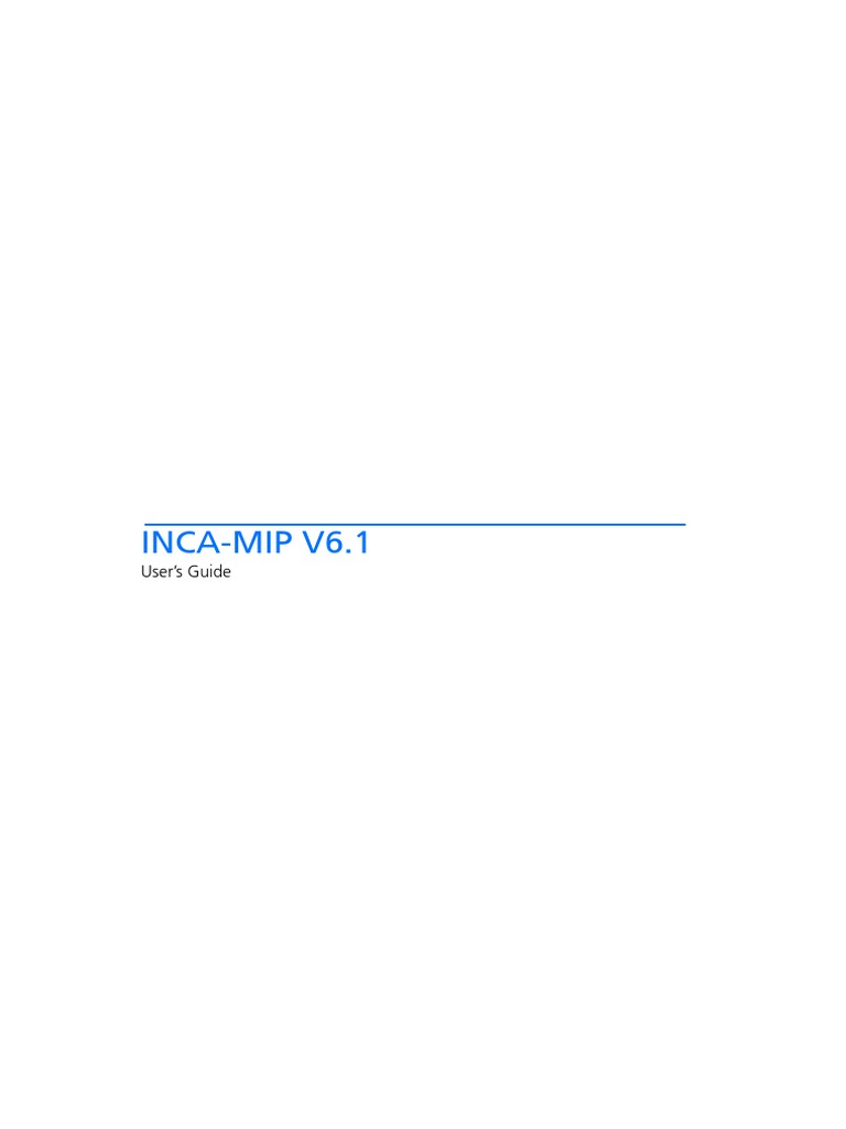 Inca Mip R6.1 en | PDF | Parameter (Computer Programming) | Matlab