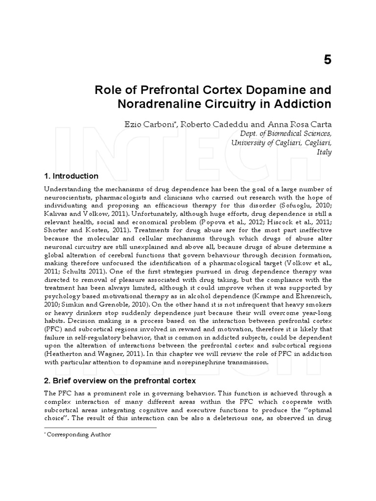 Role of Prefrontal Cortex Dopamine and Noradrenaline Circuitry in ...