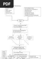 Pathophysiology of Cesarean Section | PDF | Childbirth | Caesarean Section