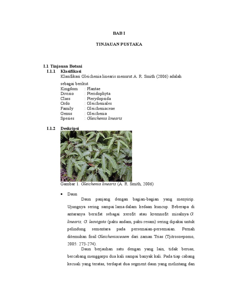Isolasi Flavonoid Dari Paku Resam | PDF | Sains & Matematika