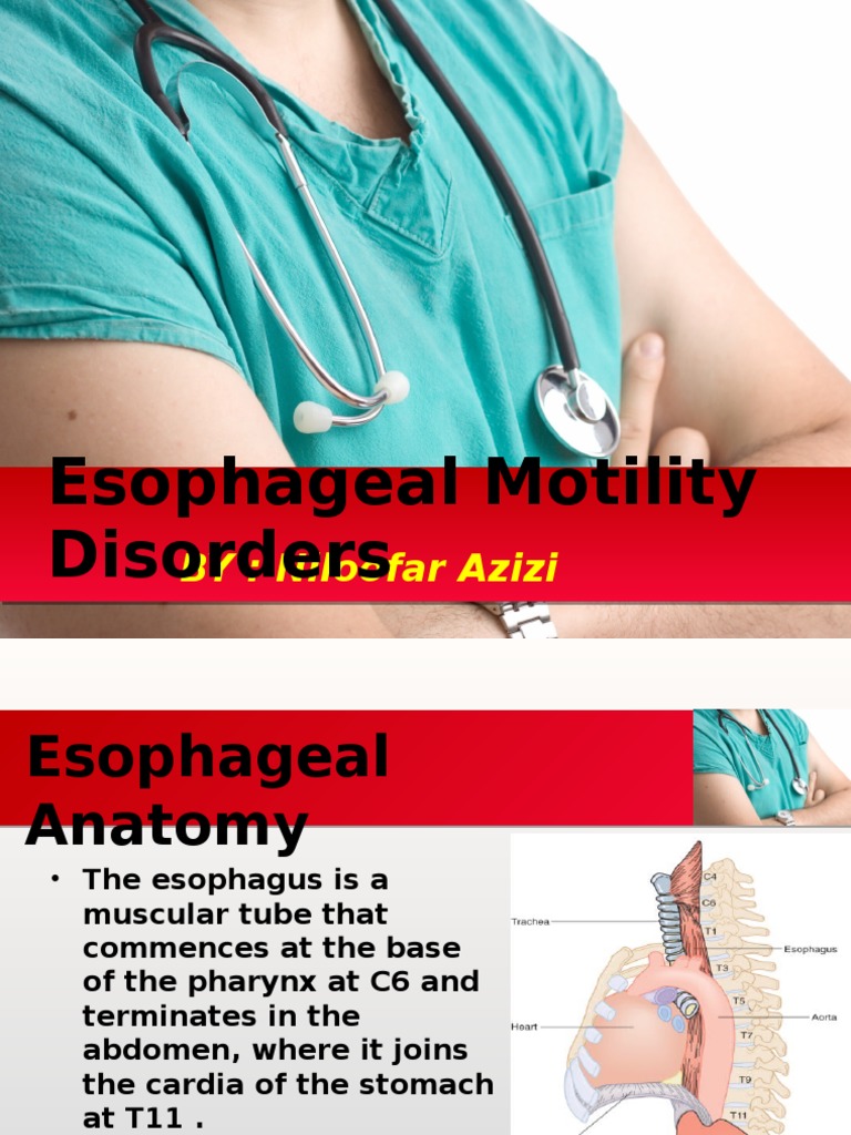 Esophageal Motility Disorders | PDF | Esophagus | Gastroenterology