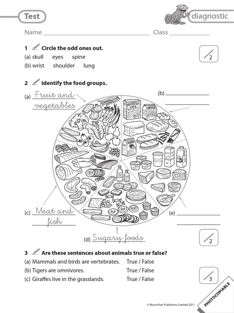 Test Fotocopiables 3º Primaria Science Macmillan | PDF