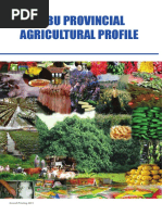 Bohol Provincial Agricultural Profile | PDF | Vegetables | Crops