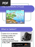 Carbon Cycle PowerPoint | PDF | Carbon Cycle | Carbon