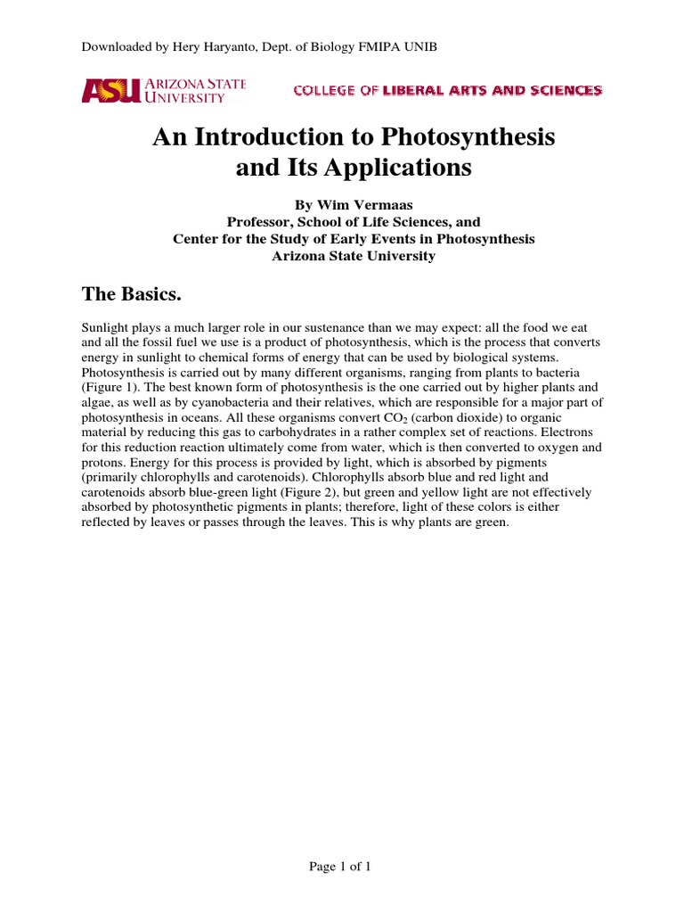An Introduction To Photosynthesis PDF | PDF | Photosynthesis | Chloroplast