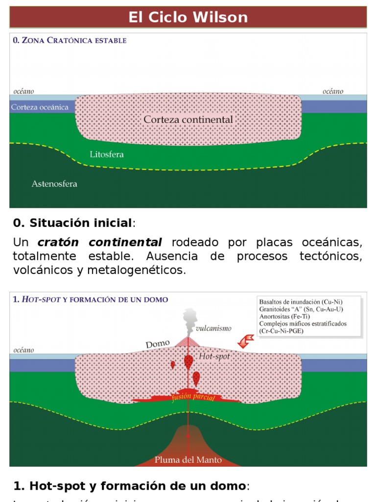 Ciclo de Wilson | PDF