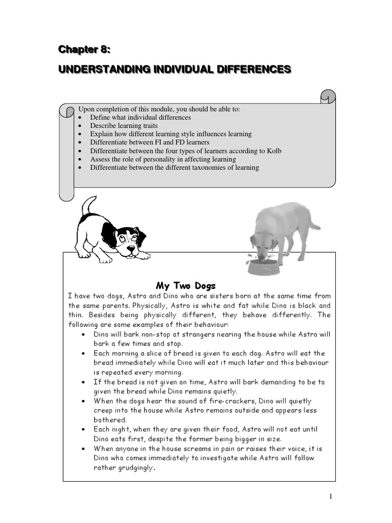 INDIVIDUAL | PDF | Extraversion And Introversion | Learning Styles