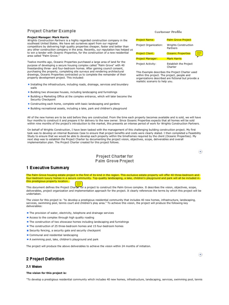 Project Charter Example: 1 Executive Summary | PDF | Project Manager ...