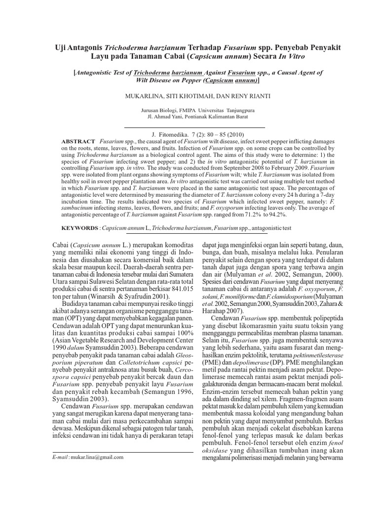 Uji Antagonis Trichoderma Harzianum Terhadap Fusarium Spp. Penyebab ...