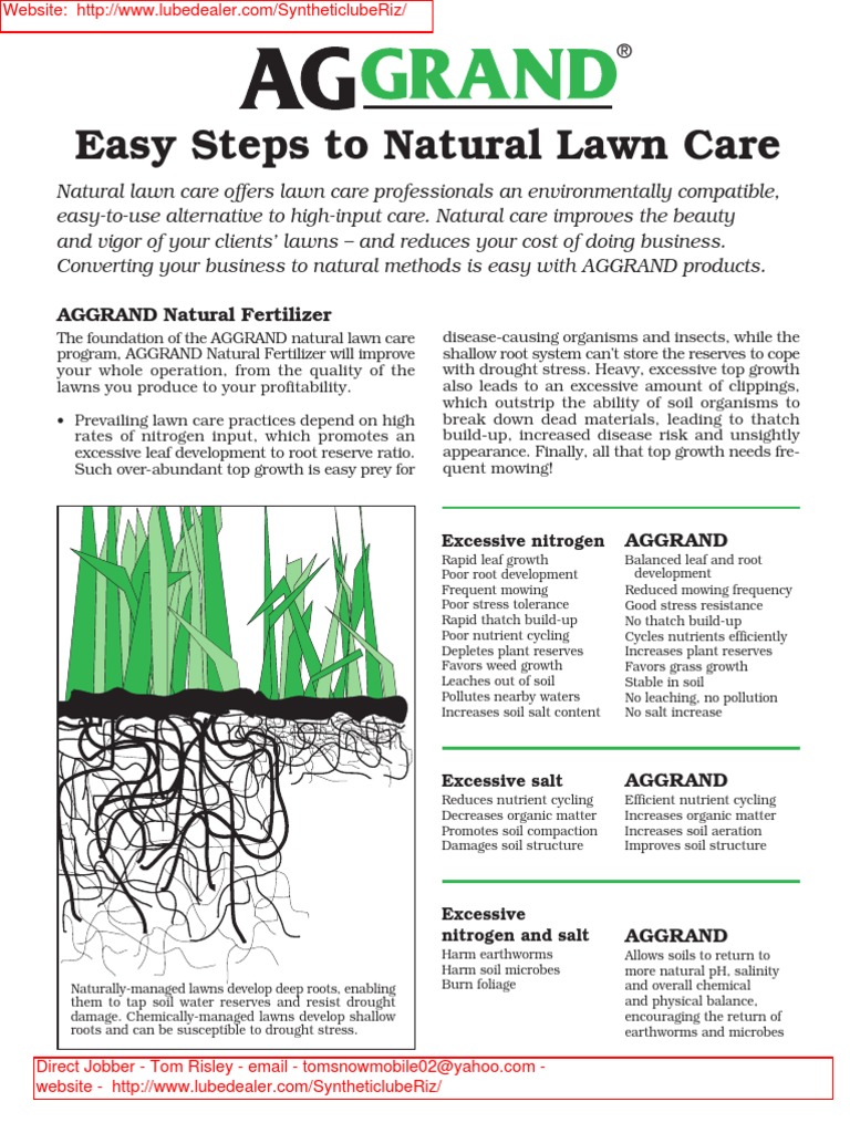 Easy Steps To Lawn Care | PDF | Lawn | Fertilizer