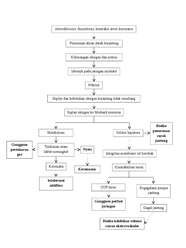 Pathway Stemi