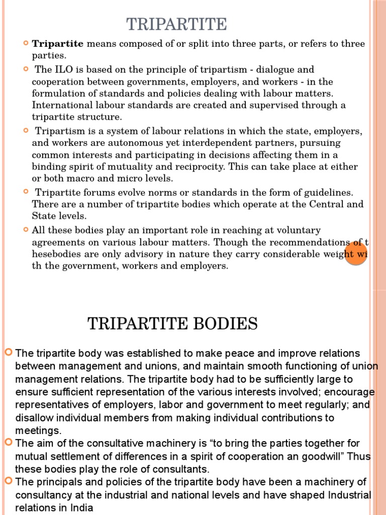 Bi Tripartite | PDF | International Labour Organization | International ...