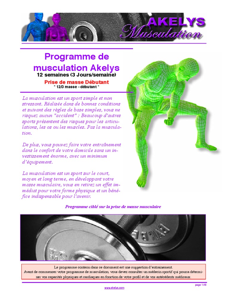 Programme de Musculation - Prise de Masse - Débutant PDF | PDF ...