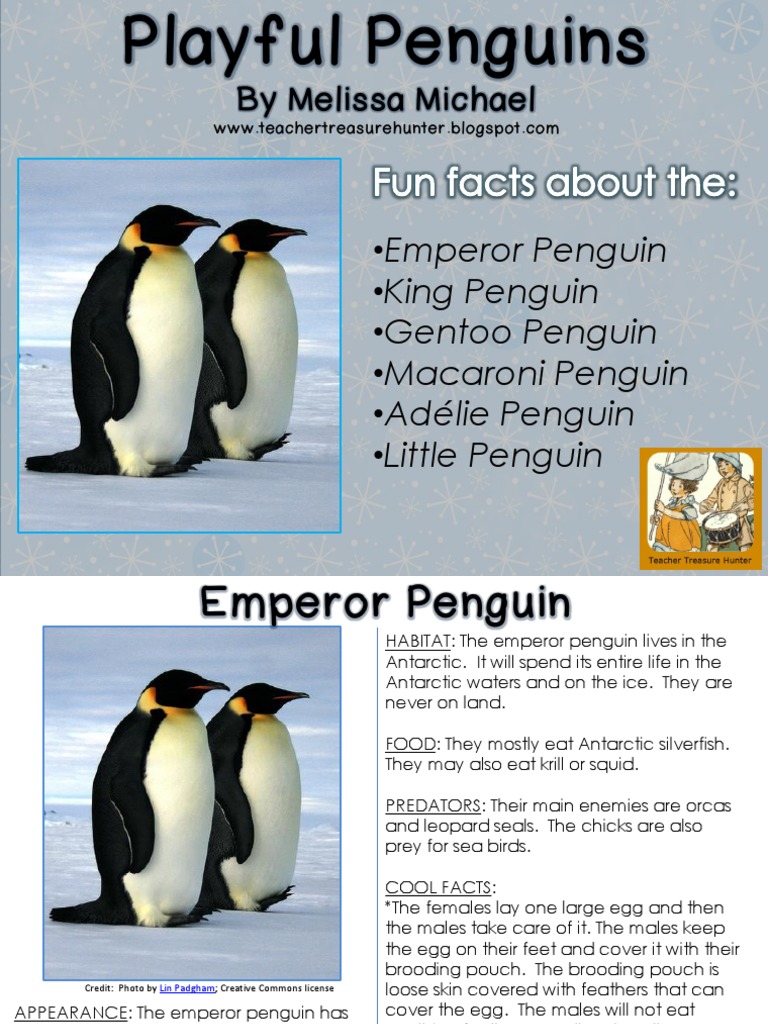 Penguin Writing | PDF | Penguin | Tetrapods