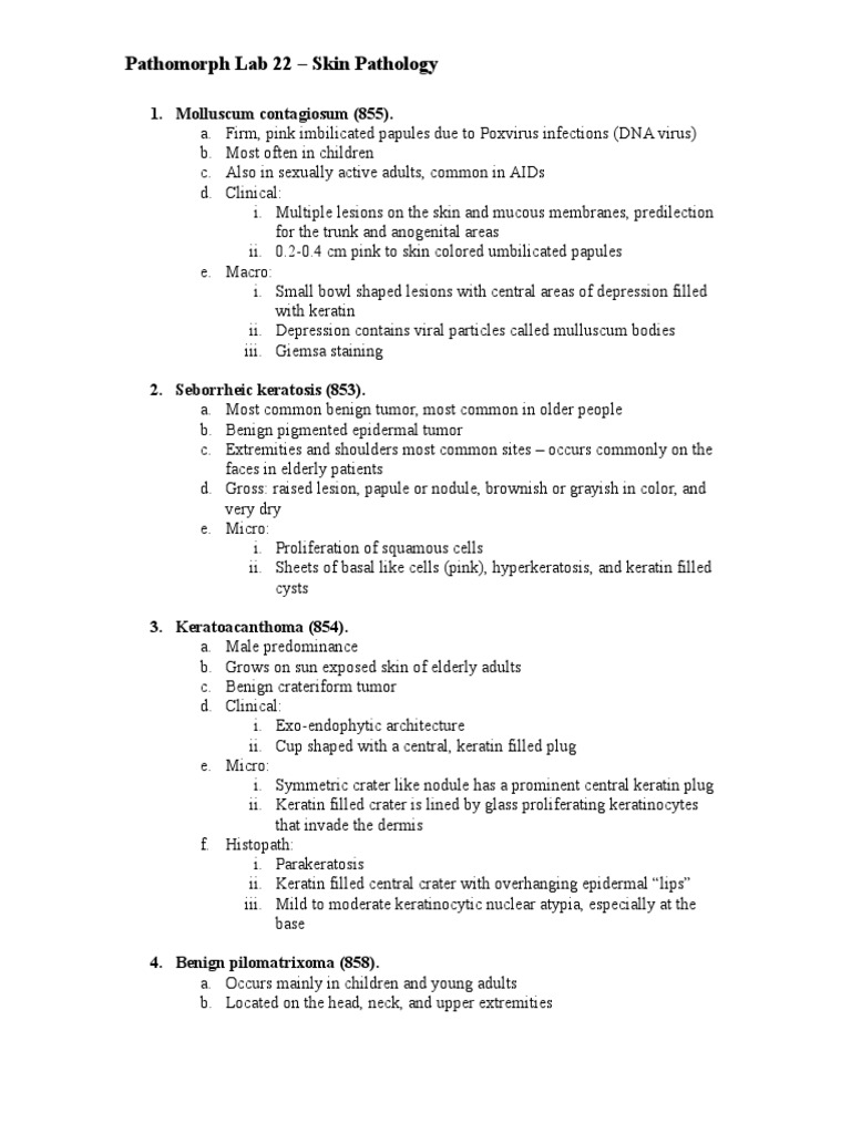 Skin Pathology | PDF | Dermatology | Skin
