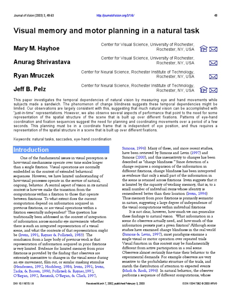 Eye Memory Vison | PDF | Visual Perception | Attention