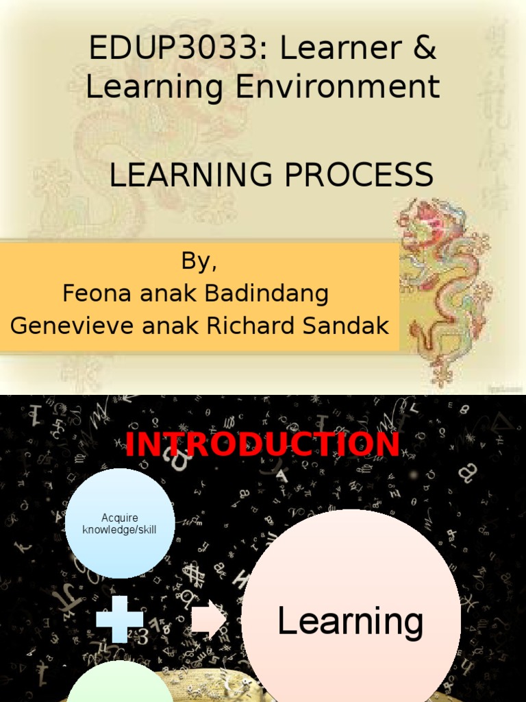 Understanding the Learning Process: A Summary of Behavioral, Cognitive ...