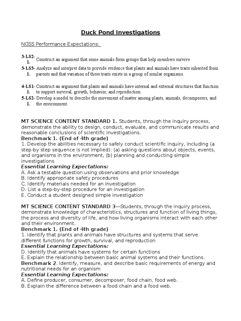Duck Pond Investigation Example | PDF | Scientific Method | Inquiry