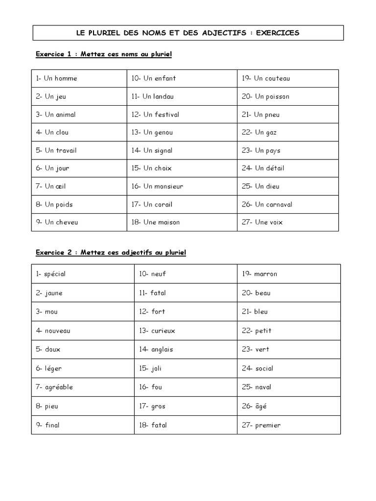 Le Pluriel Des Noms Et Des Adjectifs Exercices | PDF