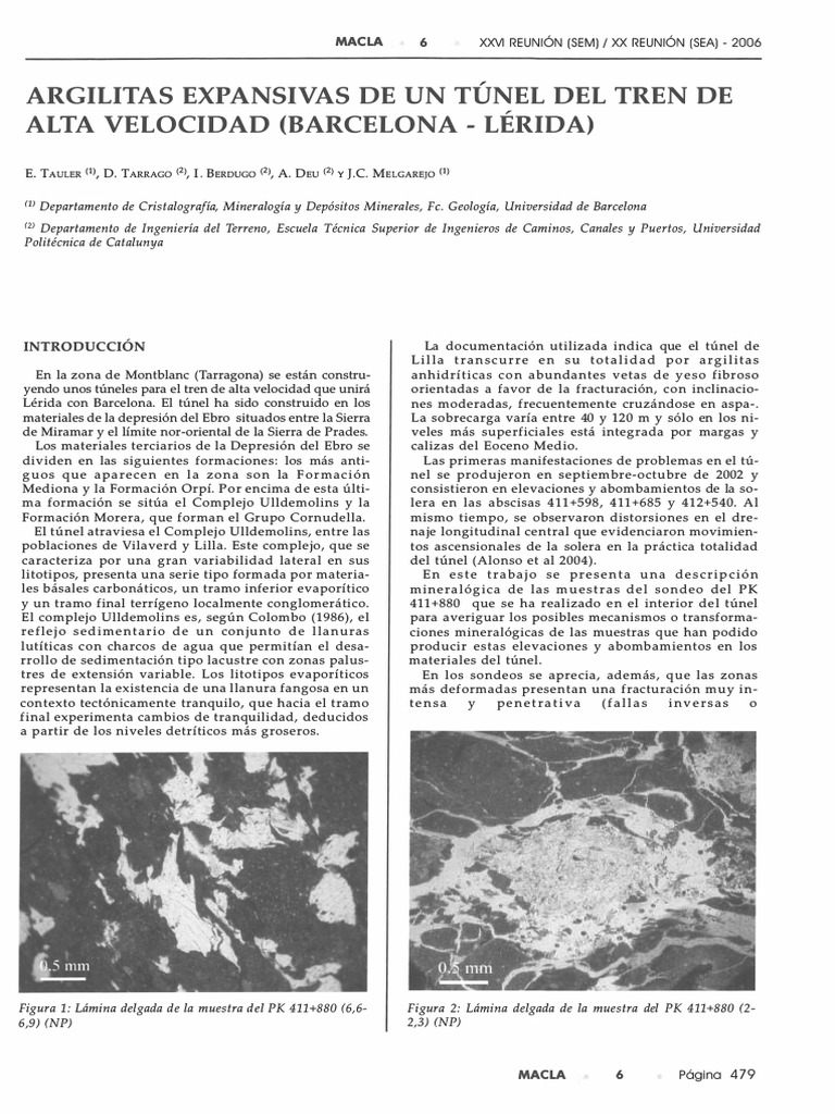 Análisis de Roca Argilita | PDF | Minerales | Mineralogía