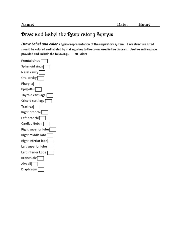 Draw Label Color Respiratory System | PDF