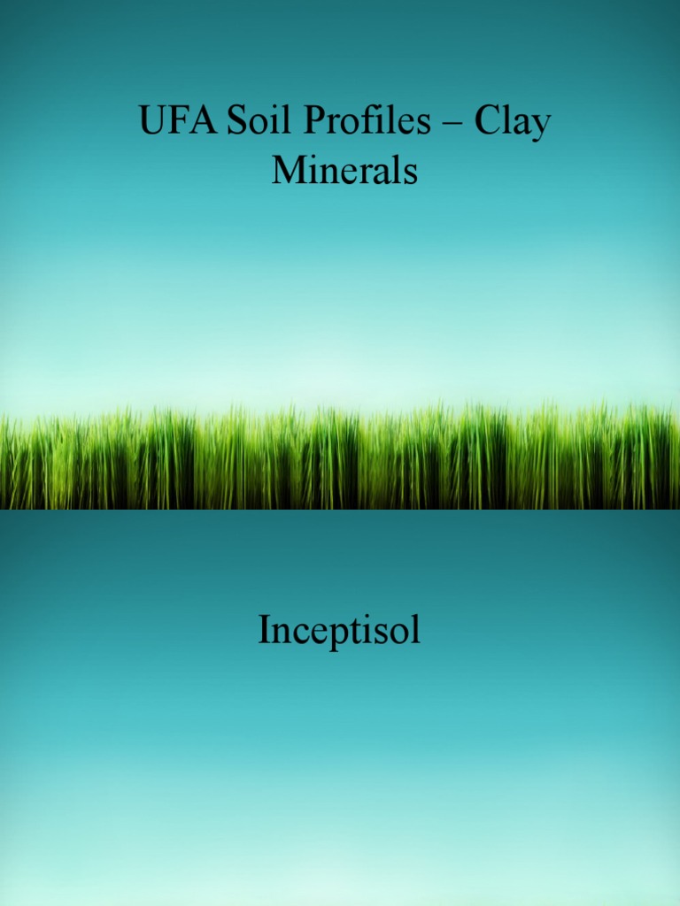 UFA Clay Soil Profiles Overview | PDF