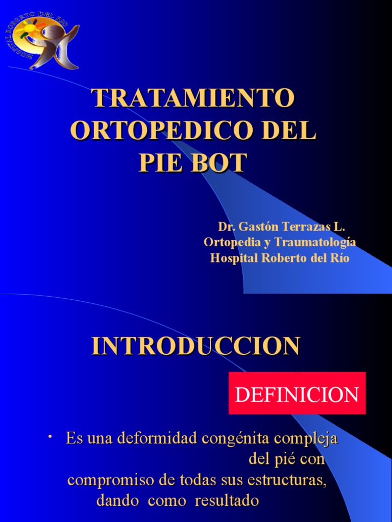 Pie Bot | PDF | Pie | Sistema musculoesquelético