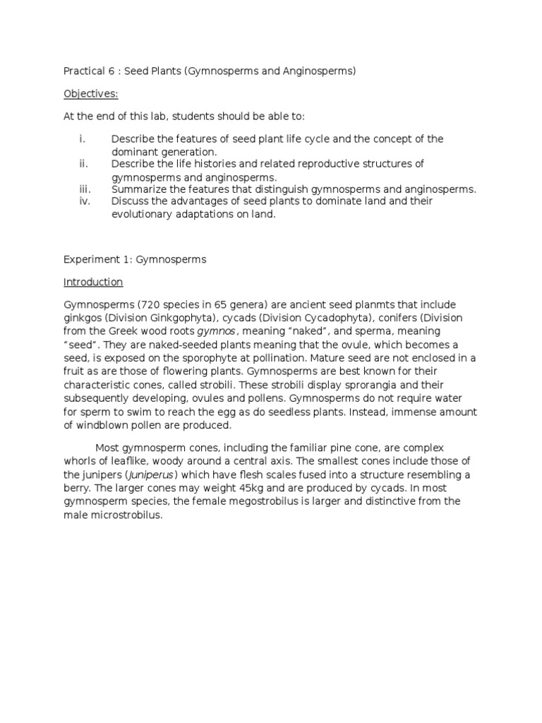 Lab Report Bio Exp 6 | PDF | Seed | Fruit