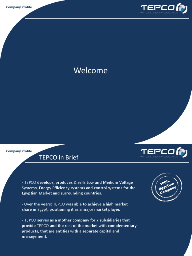 TEPCO Profile | PDF | Capacitor | Transformer
