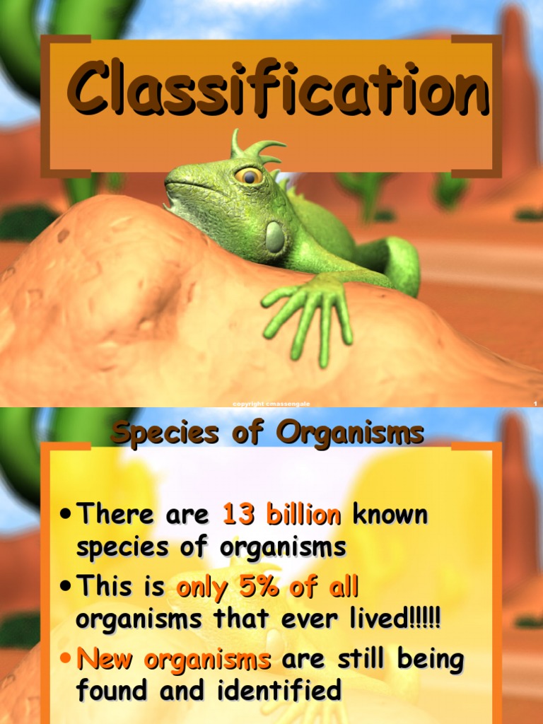 7 - Classification of Life | PDF | Archaea | Taxonomy (Biology)