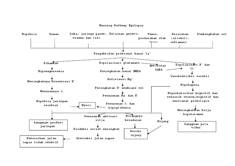 Epilepsi: Jalur Keperawatan | PDF