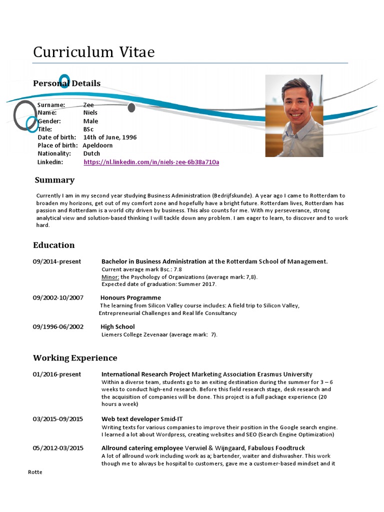 Curriculum Vitae Niels Zee | PDF | Search Engine Optimization | Learning