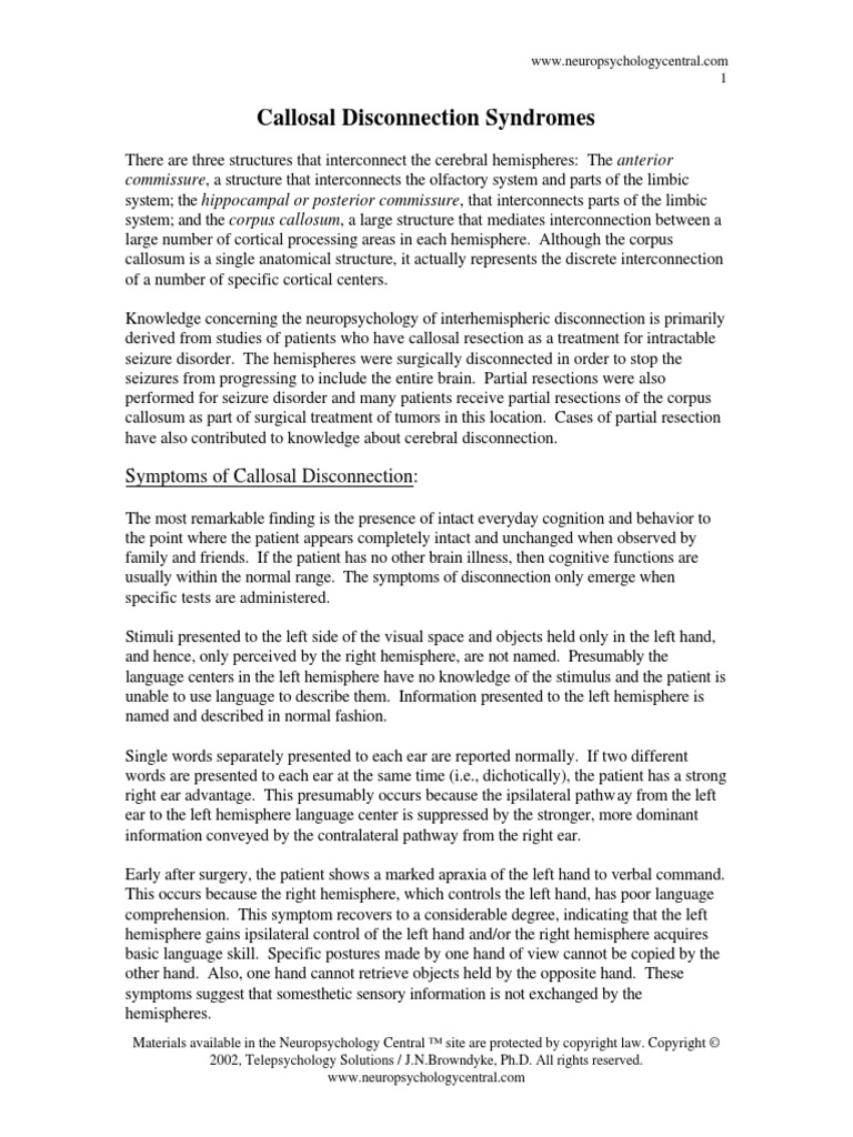 Callosal Disconnection Syndromes | PDF | Corpus Callosum | Brain