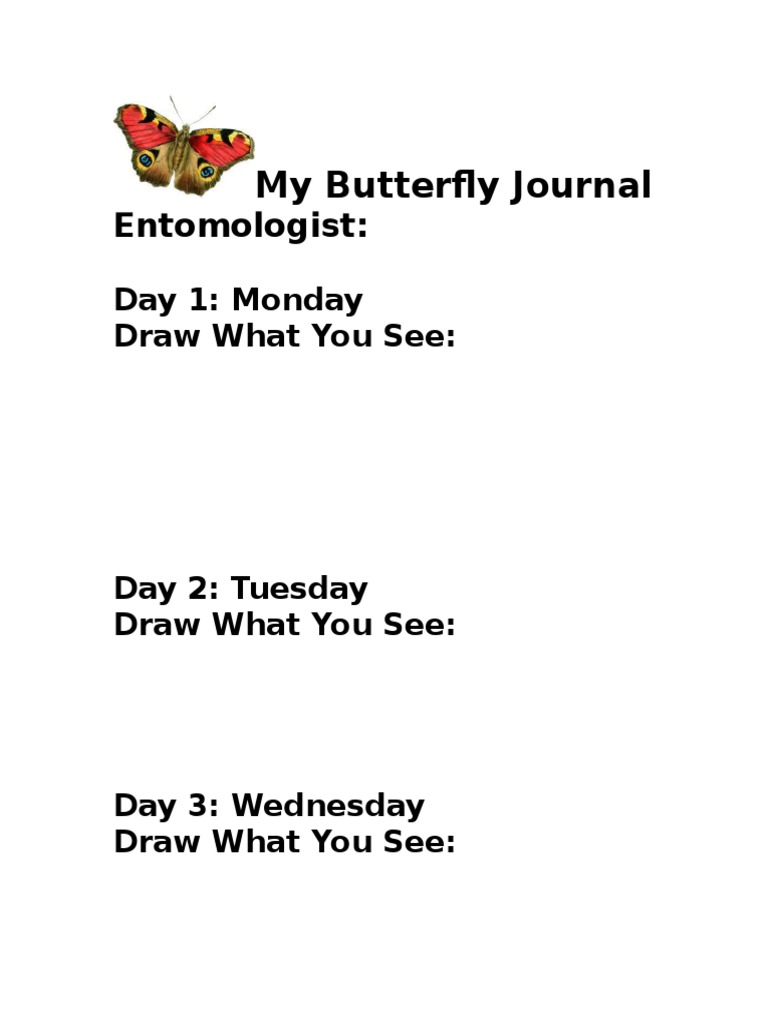 Butterfly Observation Journal | PDF | Wellness