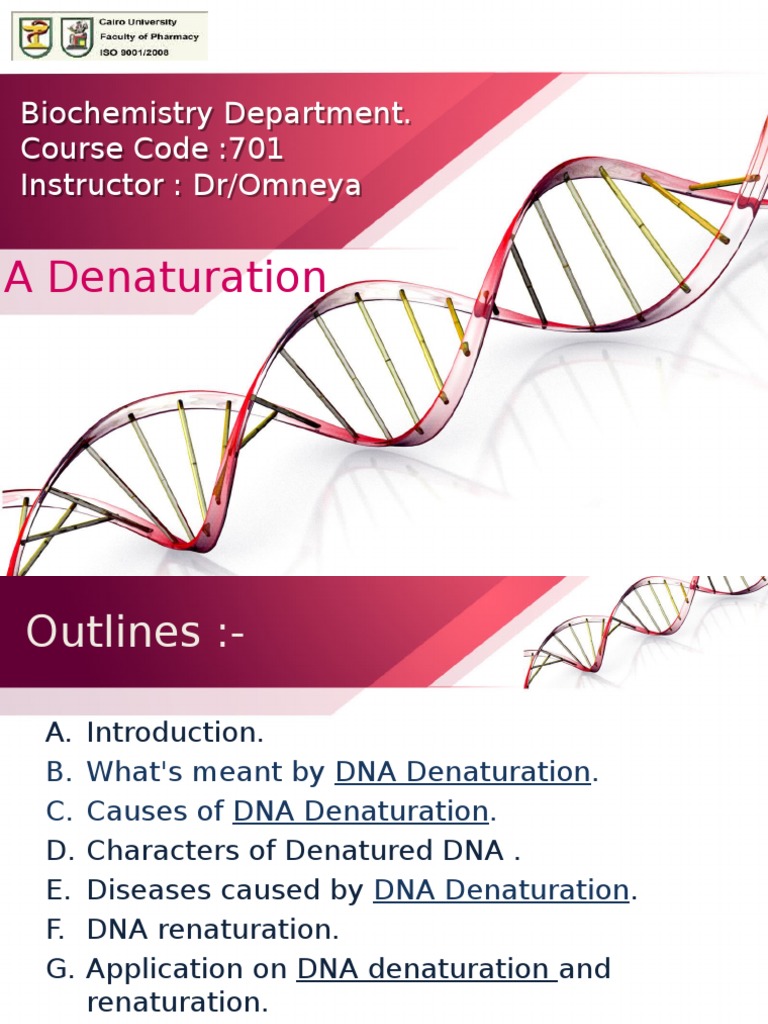 DNA Denaturation | Denaturation (Biochemistry) | Dna