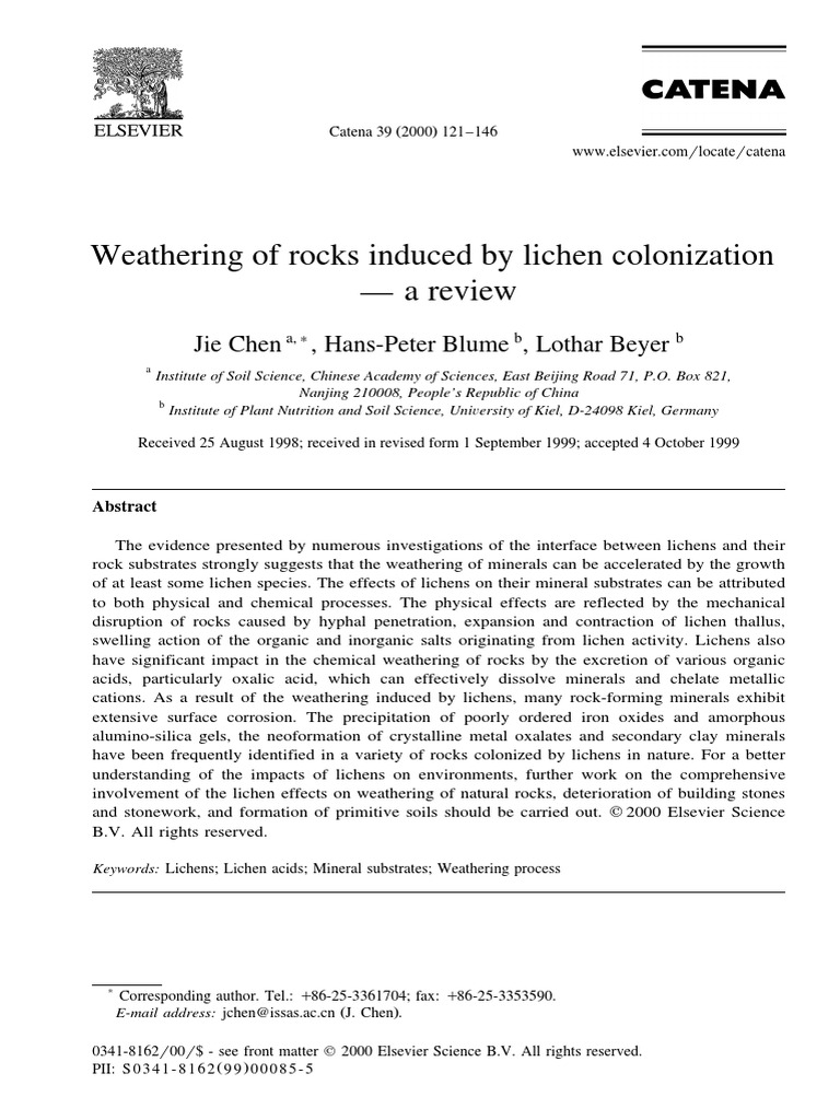 AAAAA LICHEN Weathering of Rocks Induced by Lichen Colonization | PDF ...