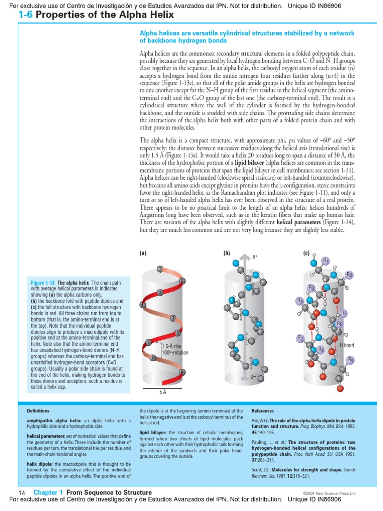 Hélice Alpha | PDF | Alpha Helix | Collagen