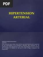 Ángulo de Louis | PDF | Tórax | Anatomía humana