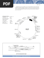 P ET28 | PDF | Vector (Molecular Biology) | Dna